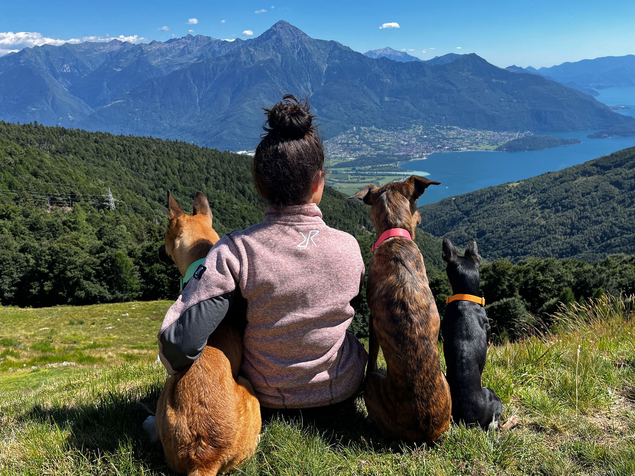 Wanderurlaub mit Hund - verpinscht